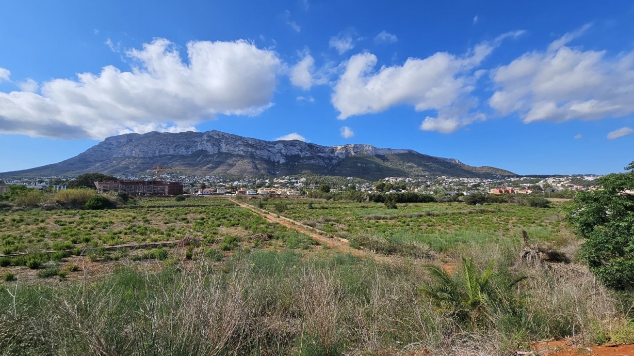 Descubre todo lo que puedes hacer al aire libre en los parques ...